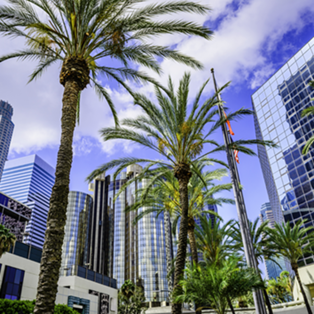 How NIL complicates future economic damage claims in personal injury ...