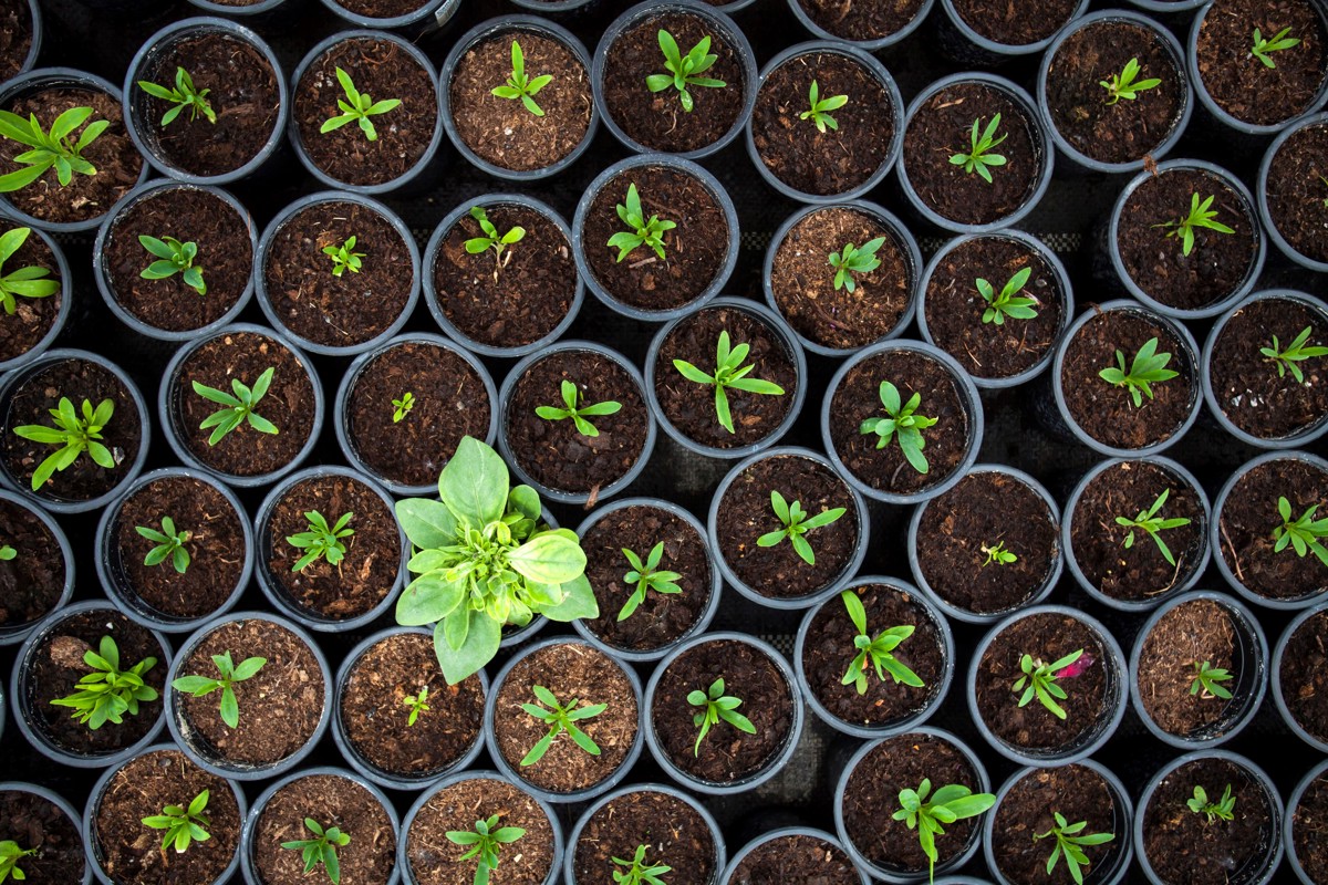 Kennedys celebrates successful closing of Bright Tide’s Regenerative ...